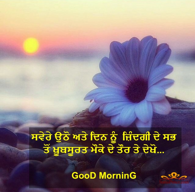 190 Status About Good Morning Punjabi